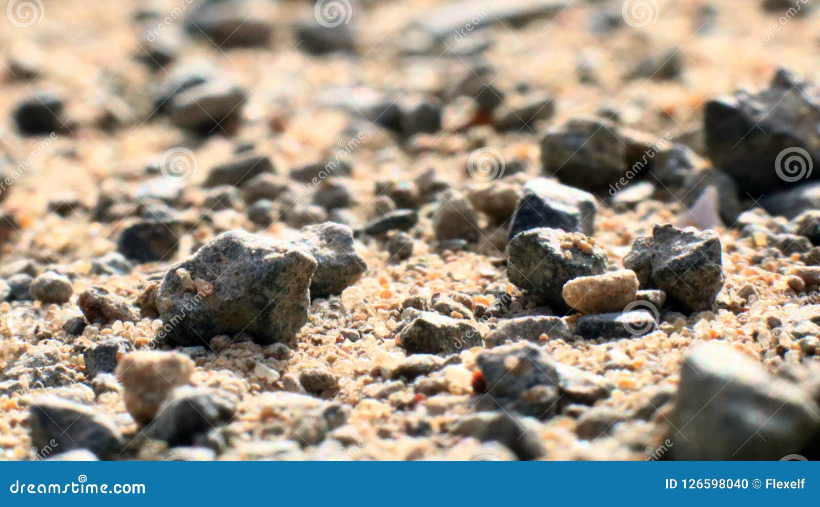 Abstract Ground Texture Background. Macro Photography. Stock Photo ...