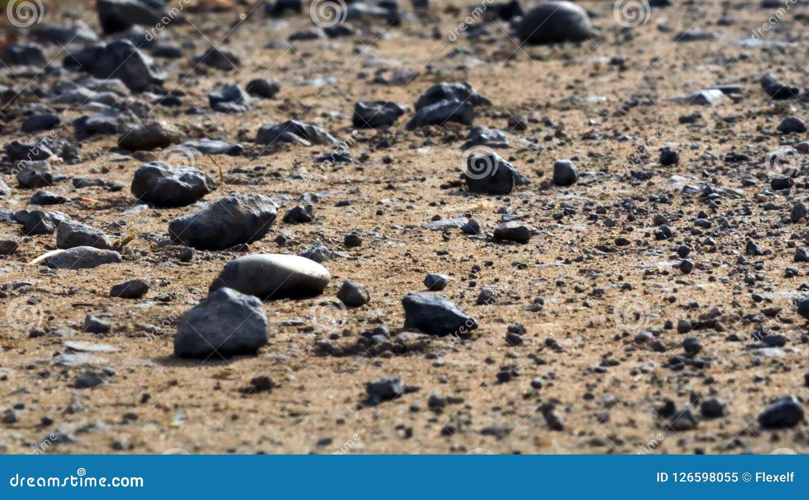 Abstract Ground Texture Background. Macro Photography. Stock Image ...