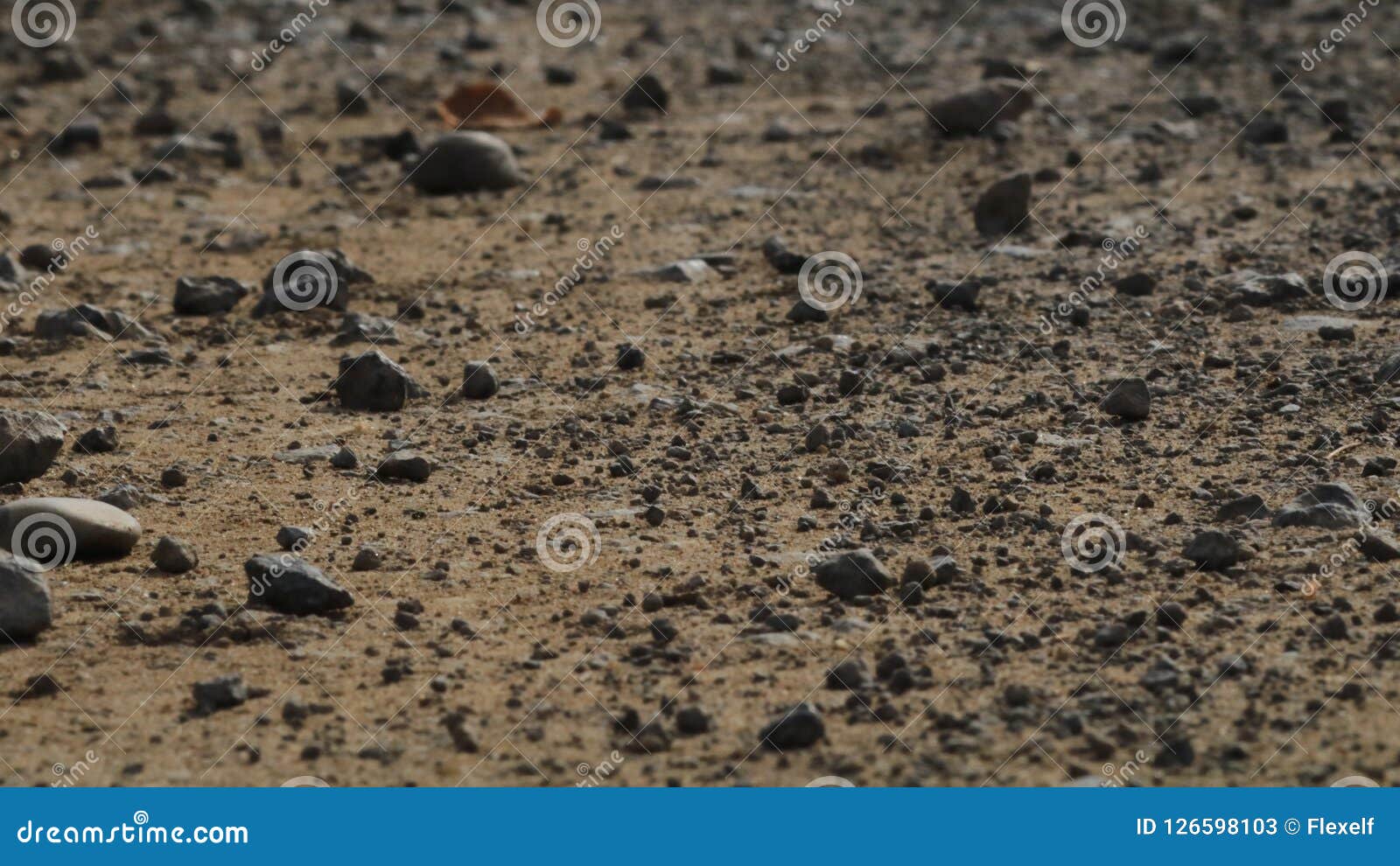 Abstract Ground Texture Background. Macro Photography. Stock Image ...