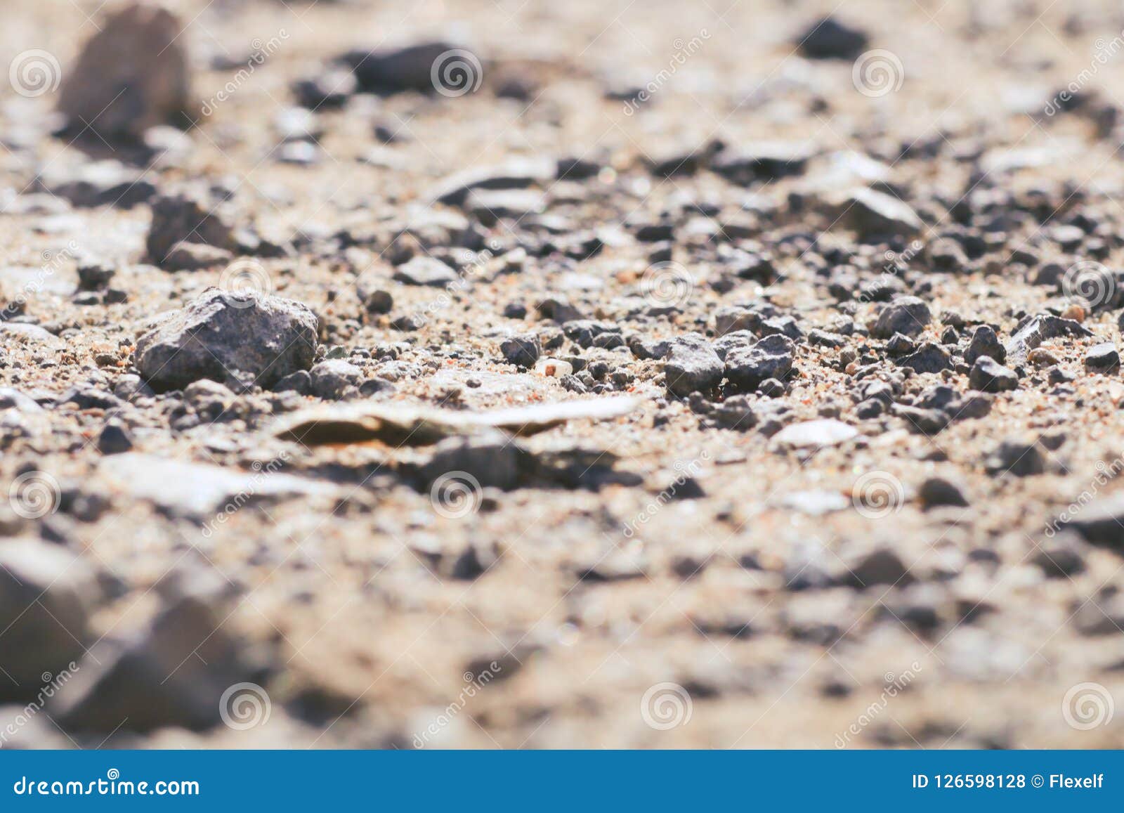 Abstract Ground Texture Background. Macro Photography. Stock Photo ...