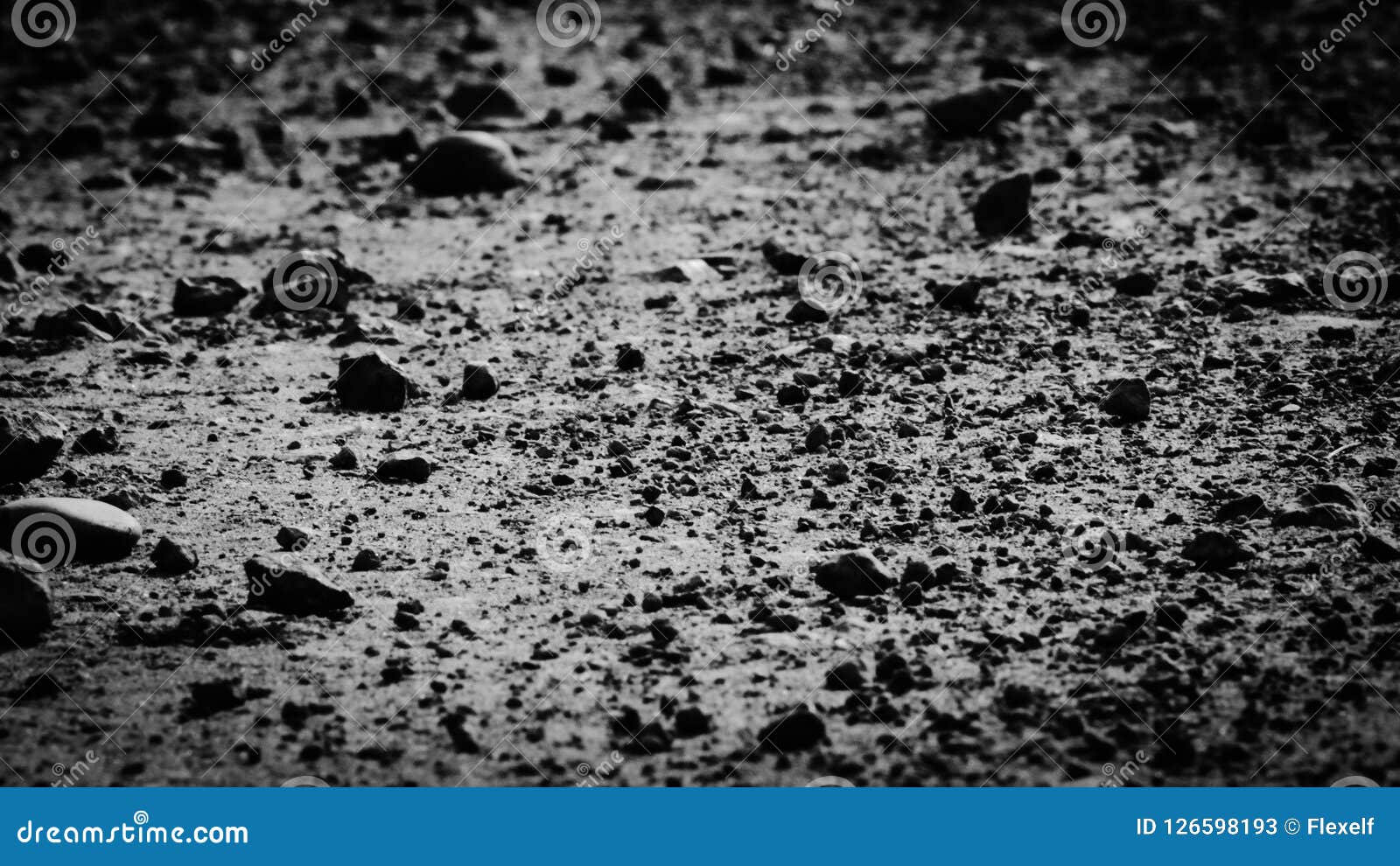 Abstract Ground Texture Background. Macro Photography. Stock Image ...