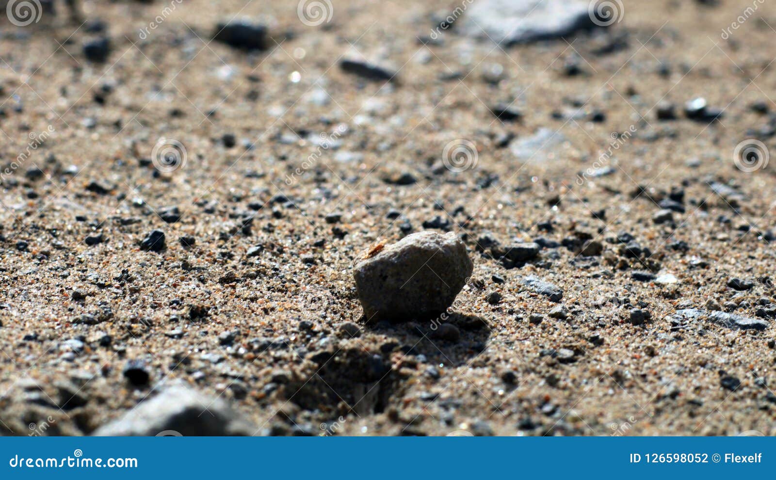 Abstract Ground Texture Background. Macro Photography. Stock Photo ...