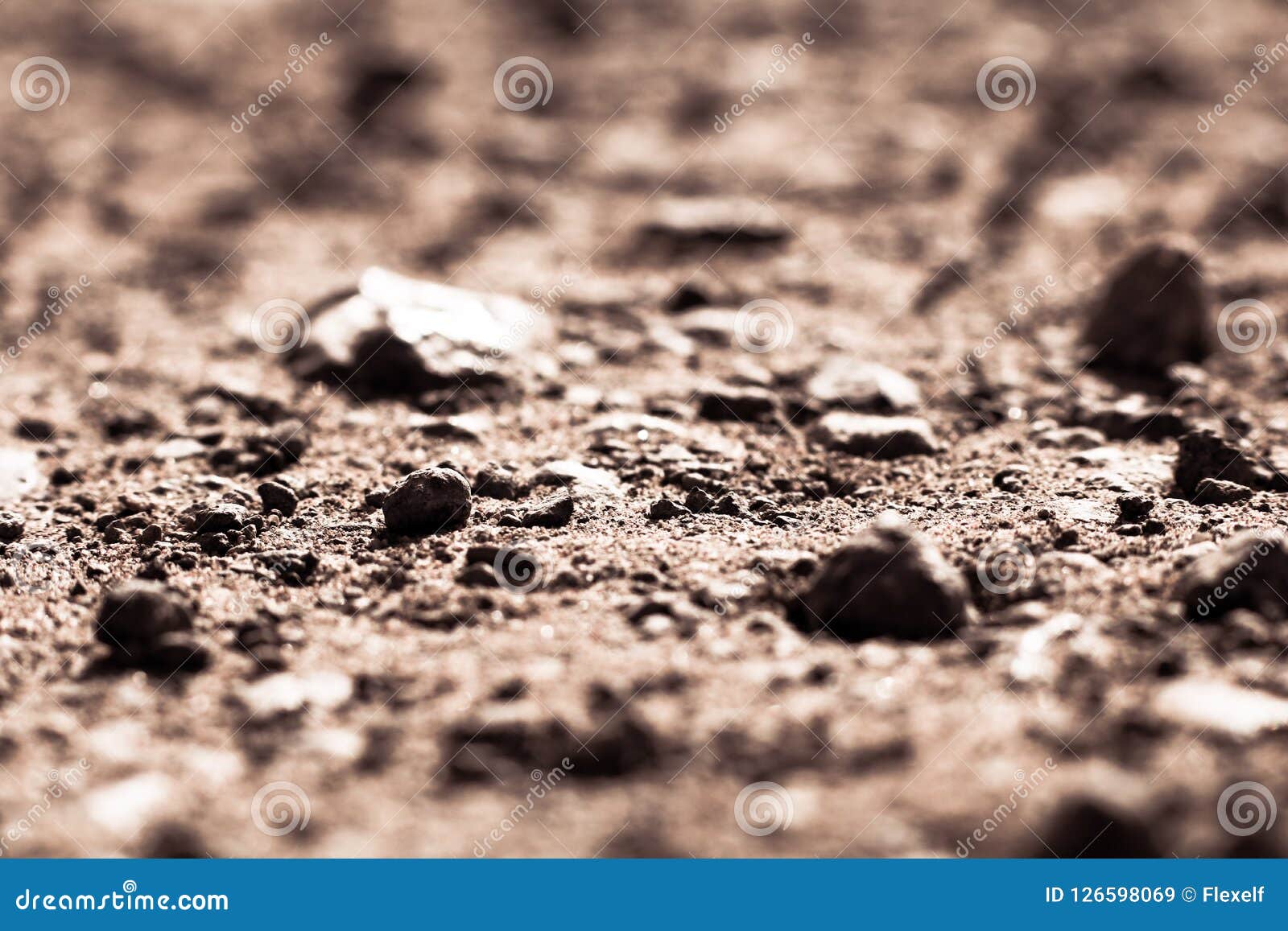 Abstract Ground Texture Background. Macro Photography. Stock Image ...