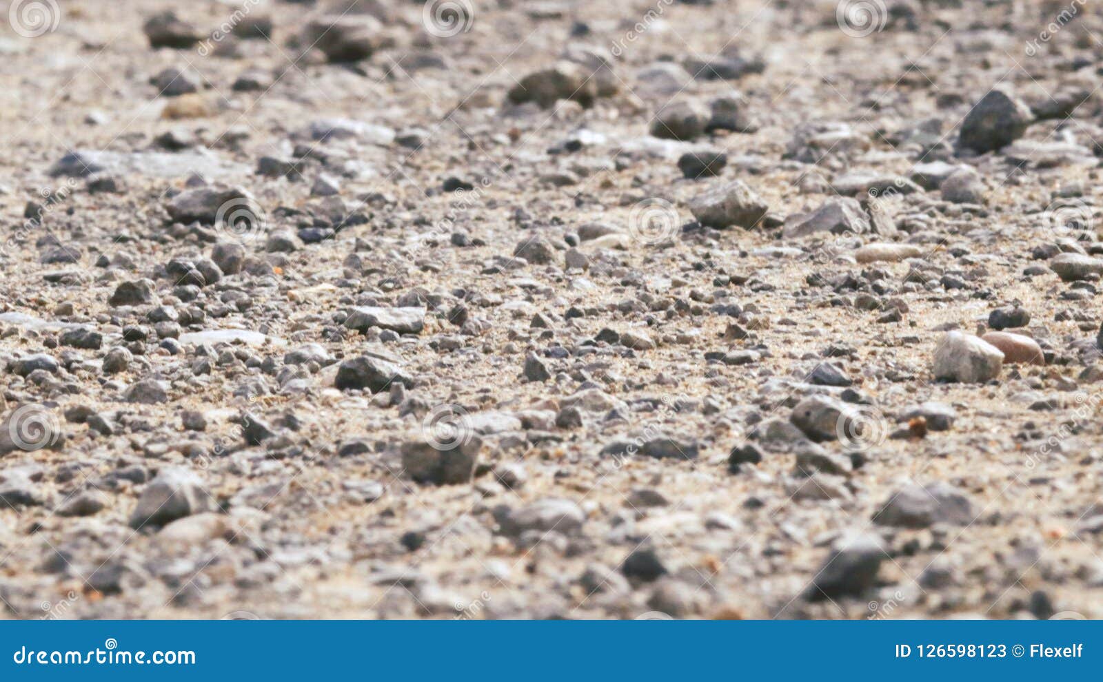 Abstract Ground Texture Background. Macro Photography. Stock Image ...