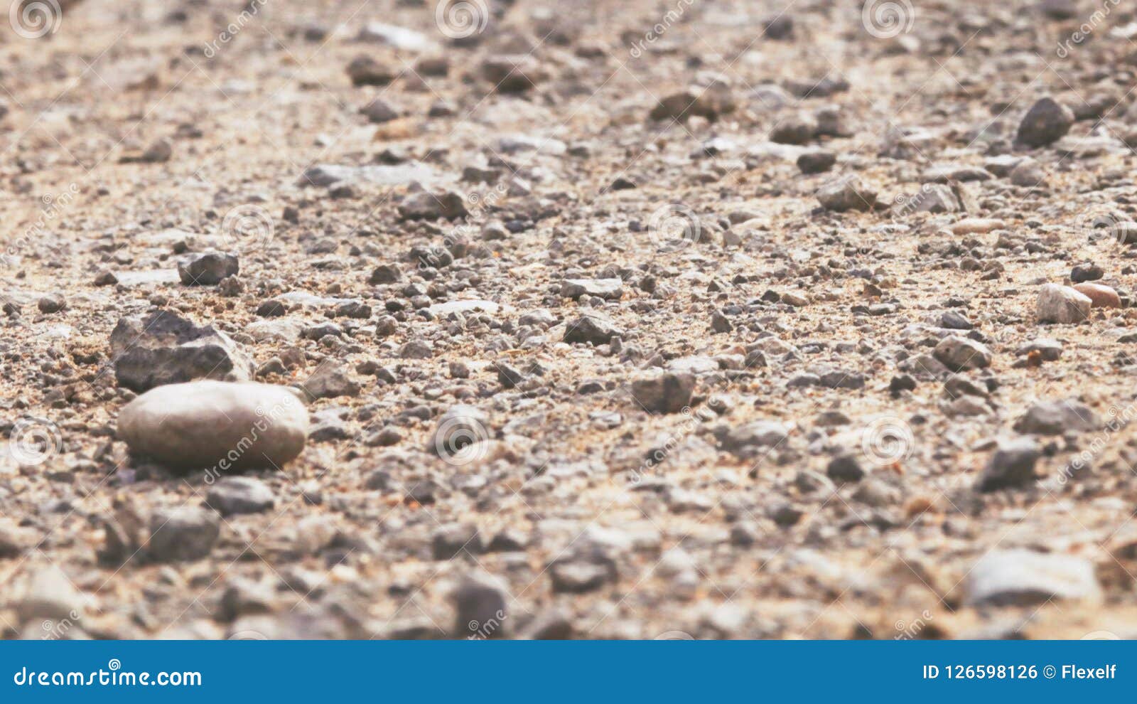 Abstract Ground Texture Background. Macro Photography. Stock Photo ...