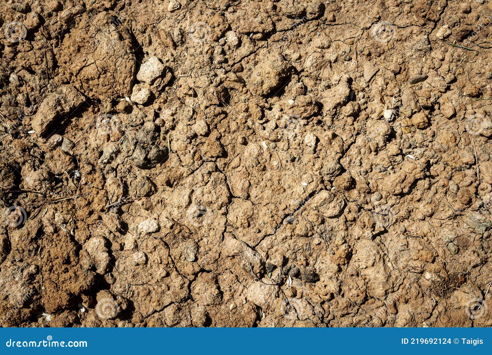 Abstract Ground Texture Background Stock Photo - Image of clod ...