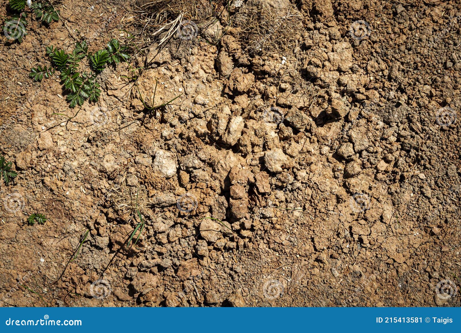 Abstract Ground Texture Background Stock Image - Image of clump ...