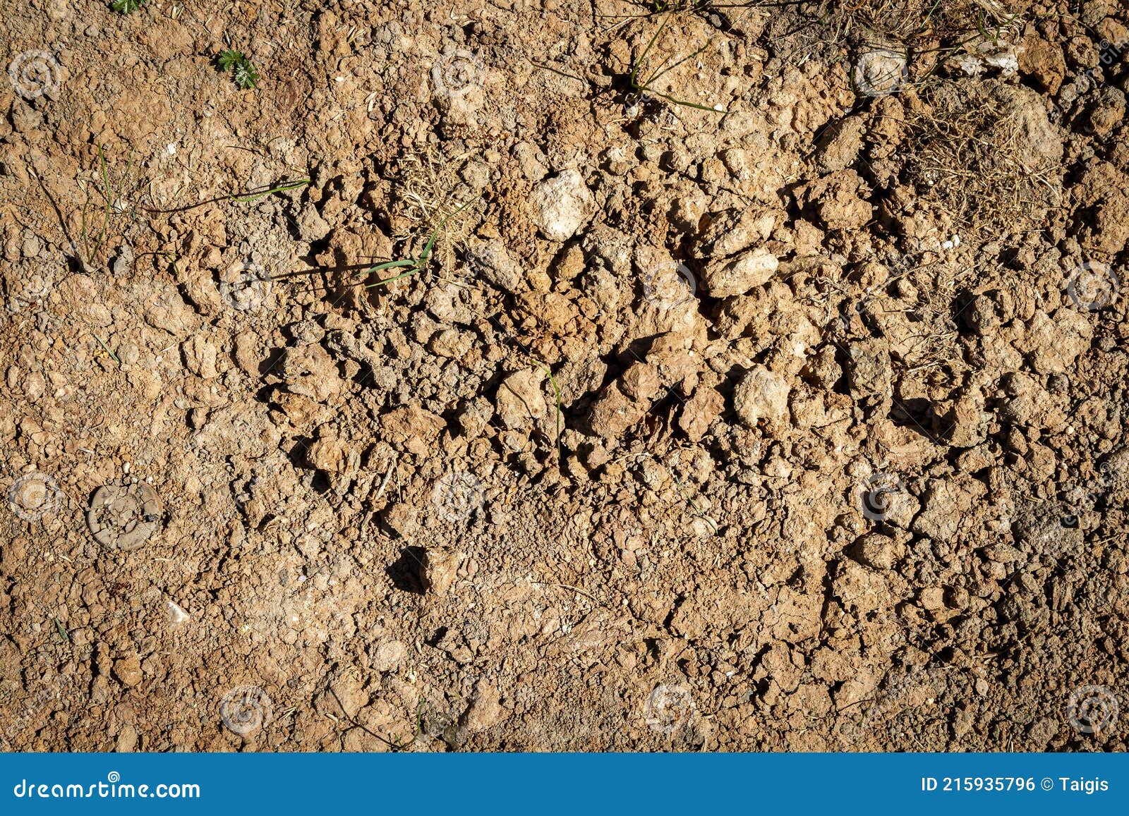 Abstract Ground Texture Background Stock Photo - Image of backdrop ...