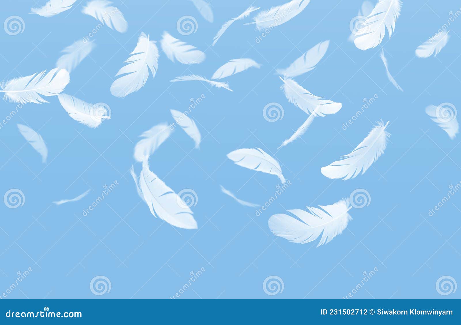 Abstract Group of White Bird Feathers Falling Down on a Blue Sky ...