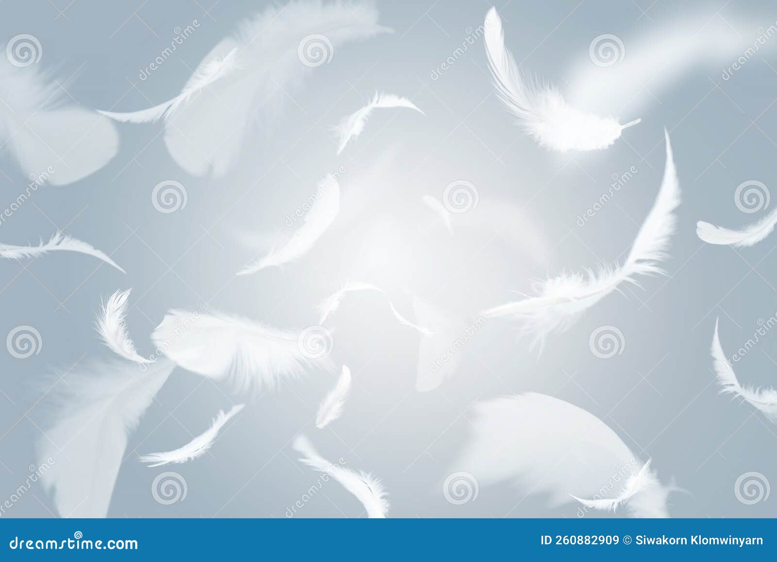 Abstract Group of White Bird Feathers Flying in the Sky. Feathers ...