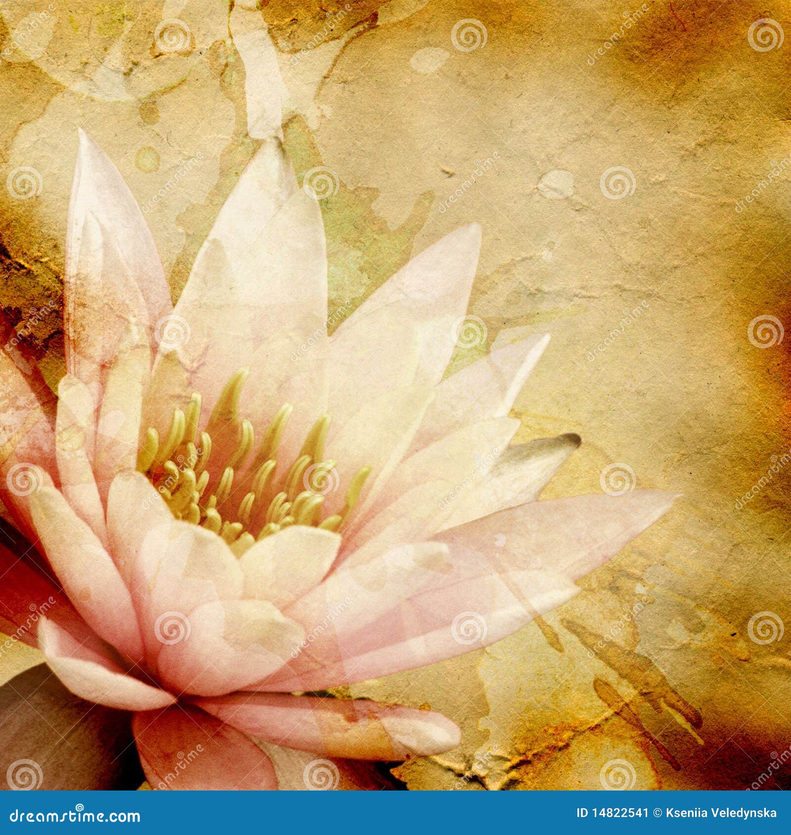 Abstract Grunge Background with Floral Pattern Stock Image - Image of ...