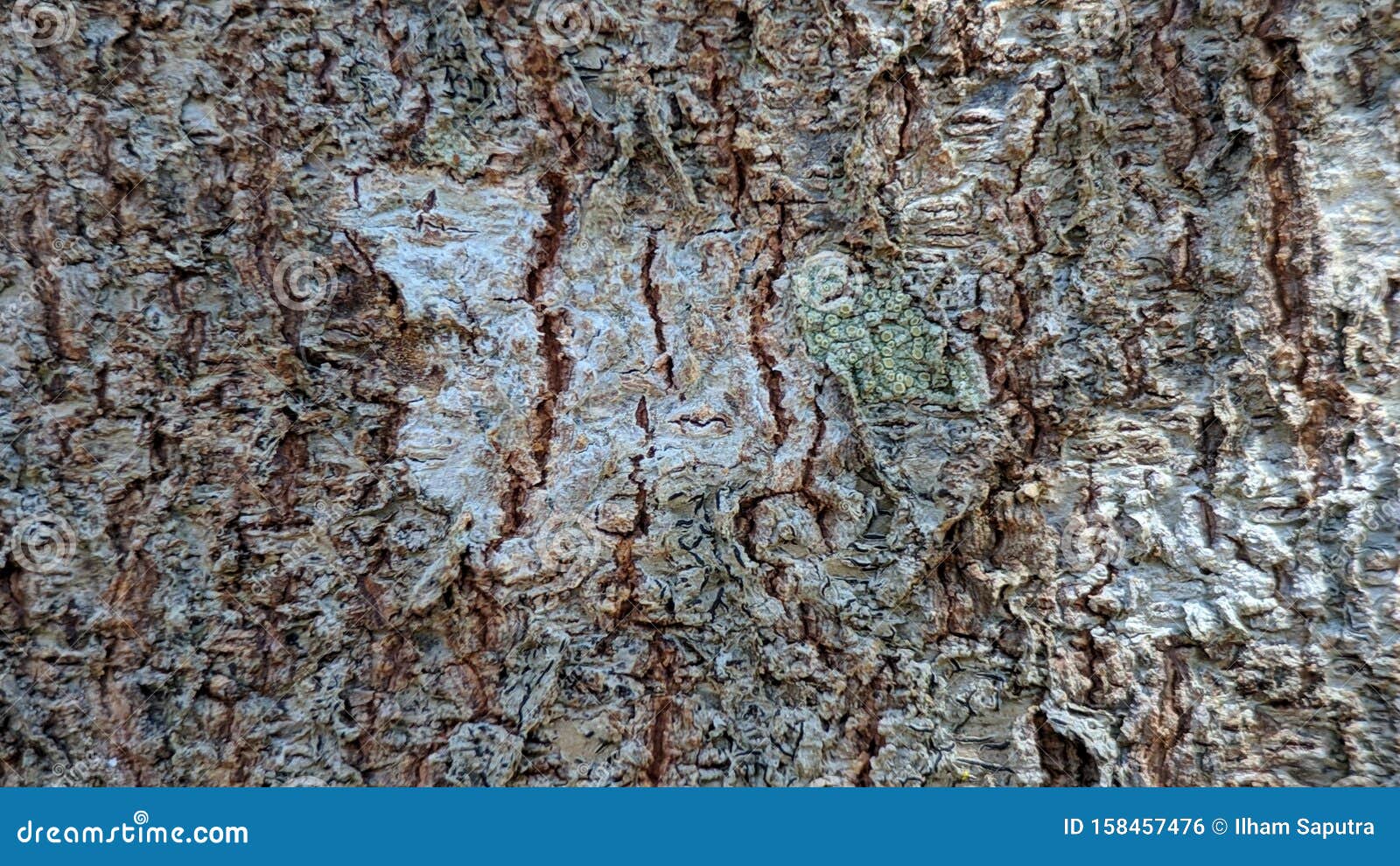 Abstract Grunge Rinde Textur Hintergrund Stockfoto - Bild von umgebung ...