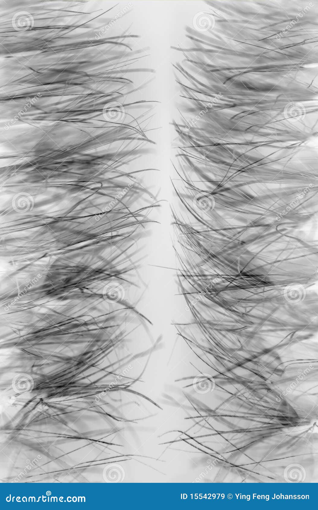 Abstract hair stock image. Image of hairy, abstract, background - 15542979
