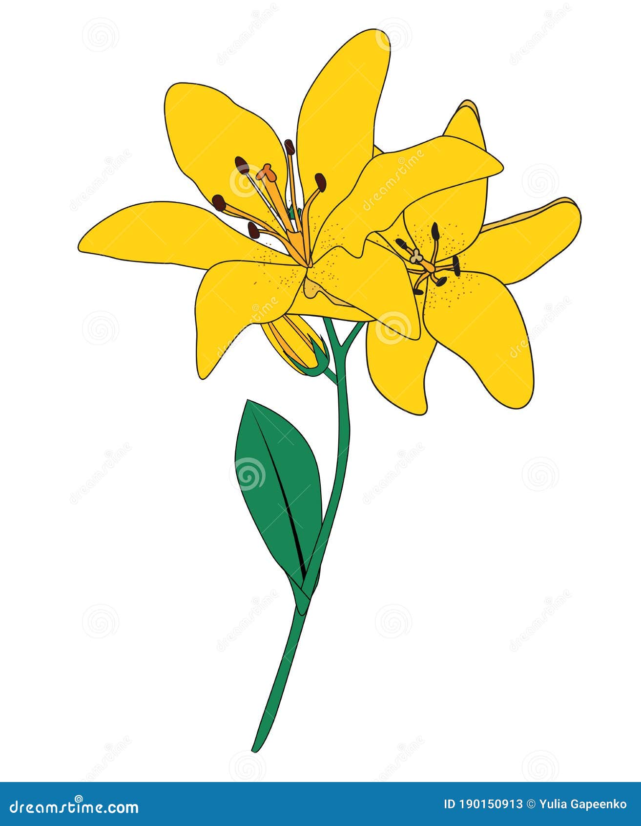 Abstract Hand Drawn Lilly Flower. Vector Illustration Stock ...