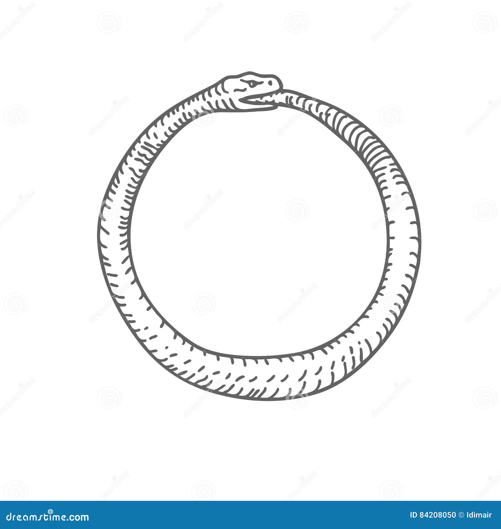 Snake Eating Its Own Tale, Uroboros Snake In A Shape Of Infinity Symbol ...