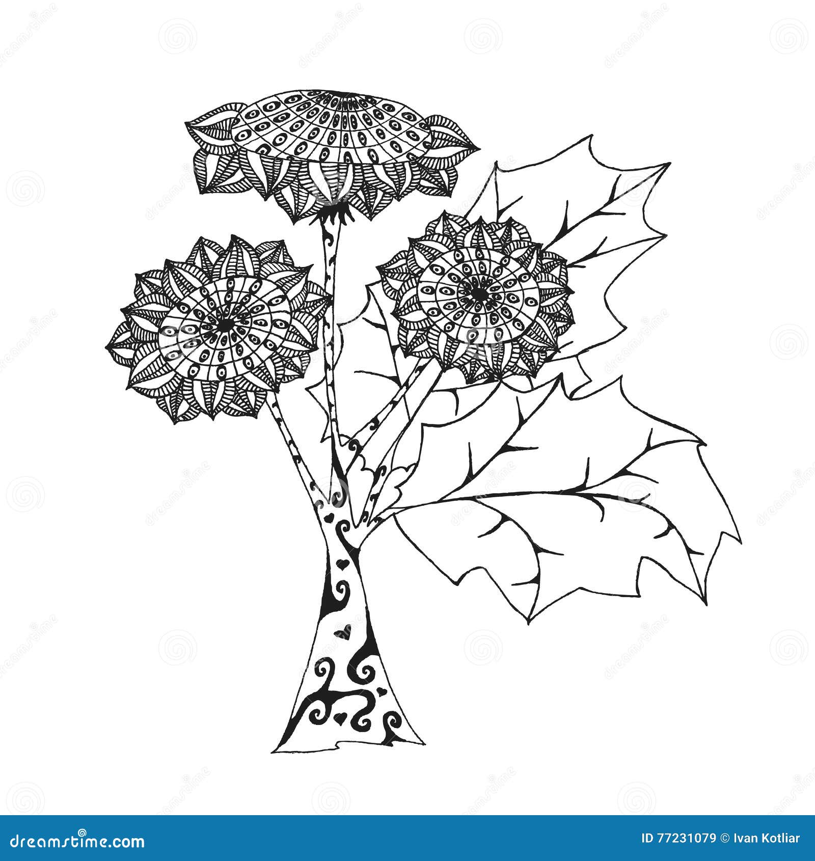 Abstract Hand Drawn Sunflower. Stock Vector - Illustration of botanical ...