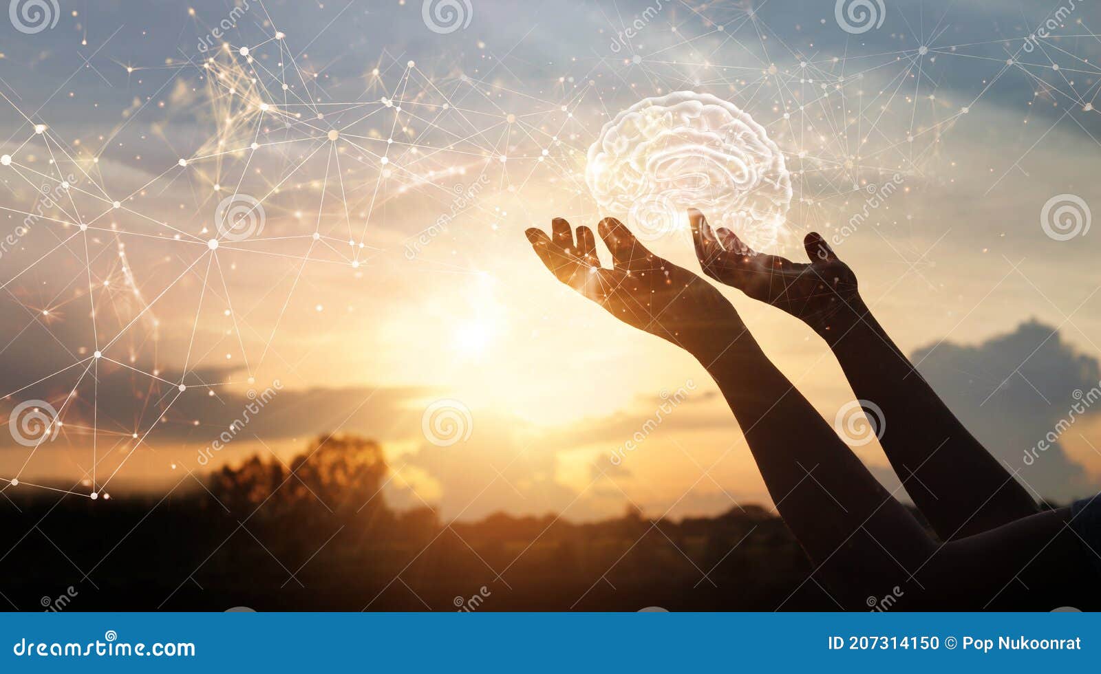 Abstract Hands Holding Brain with Network Connections, Innovative ...