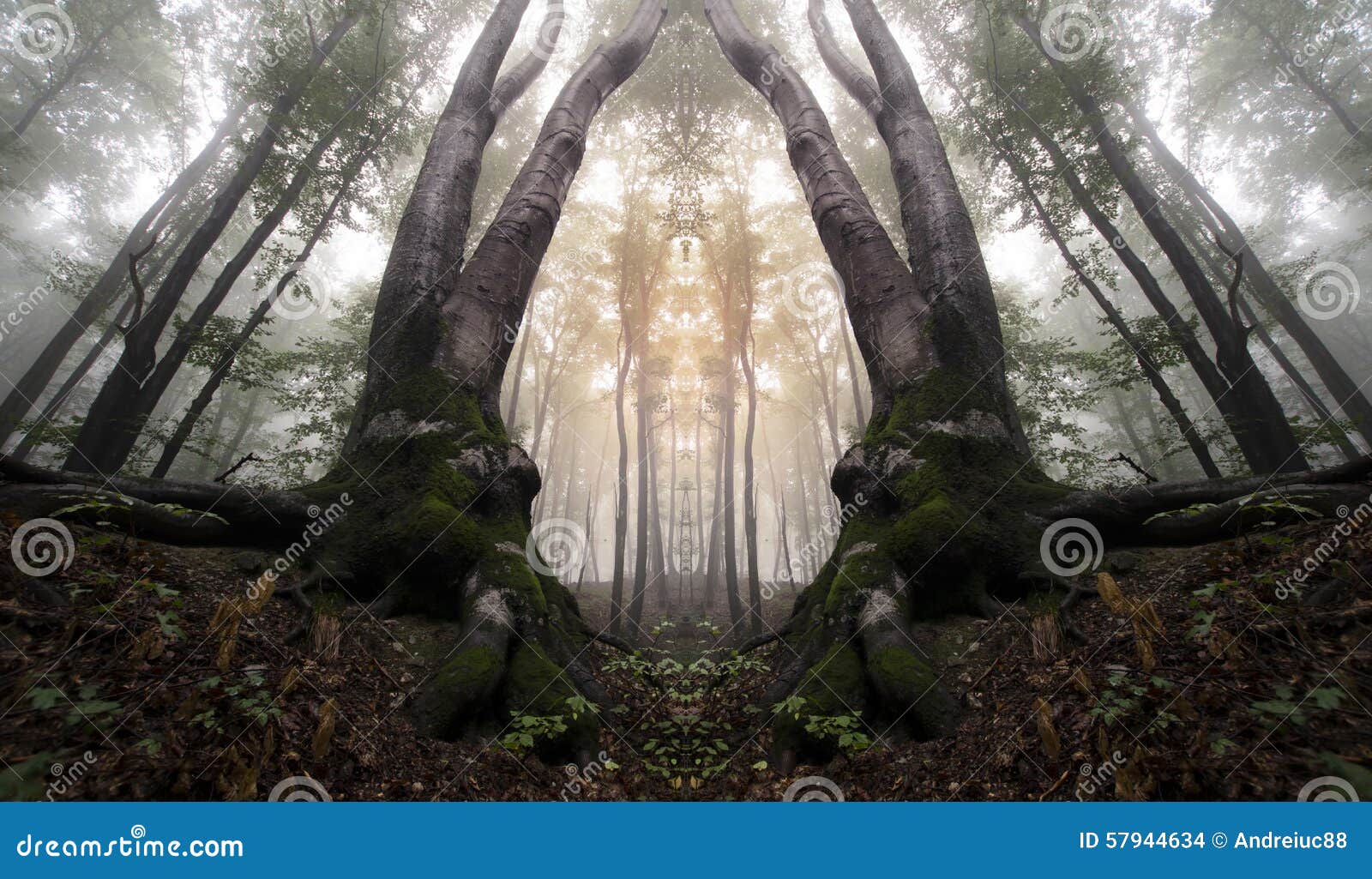 Haunted Forest Night Scene With Ghost Royalty-Free Stock Photo ...