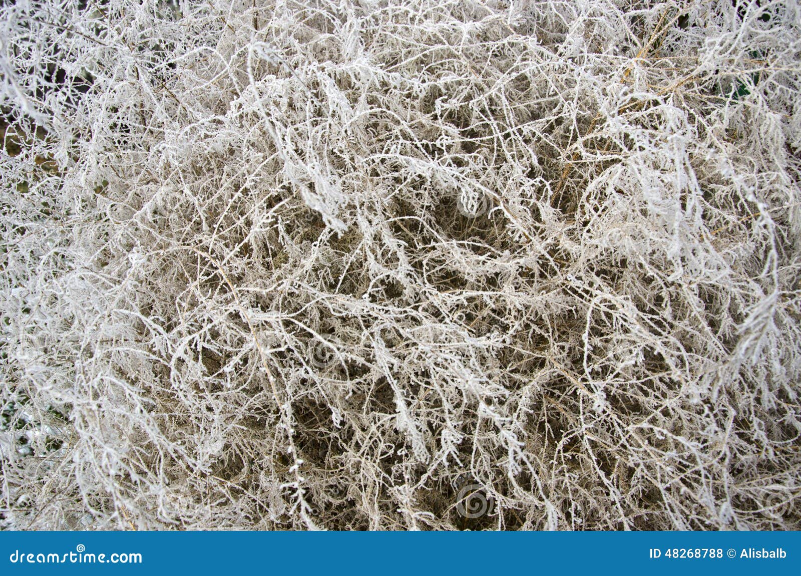 Abstract Hoarfrost Winter Nature Background Stock Photo - Image of ...