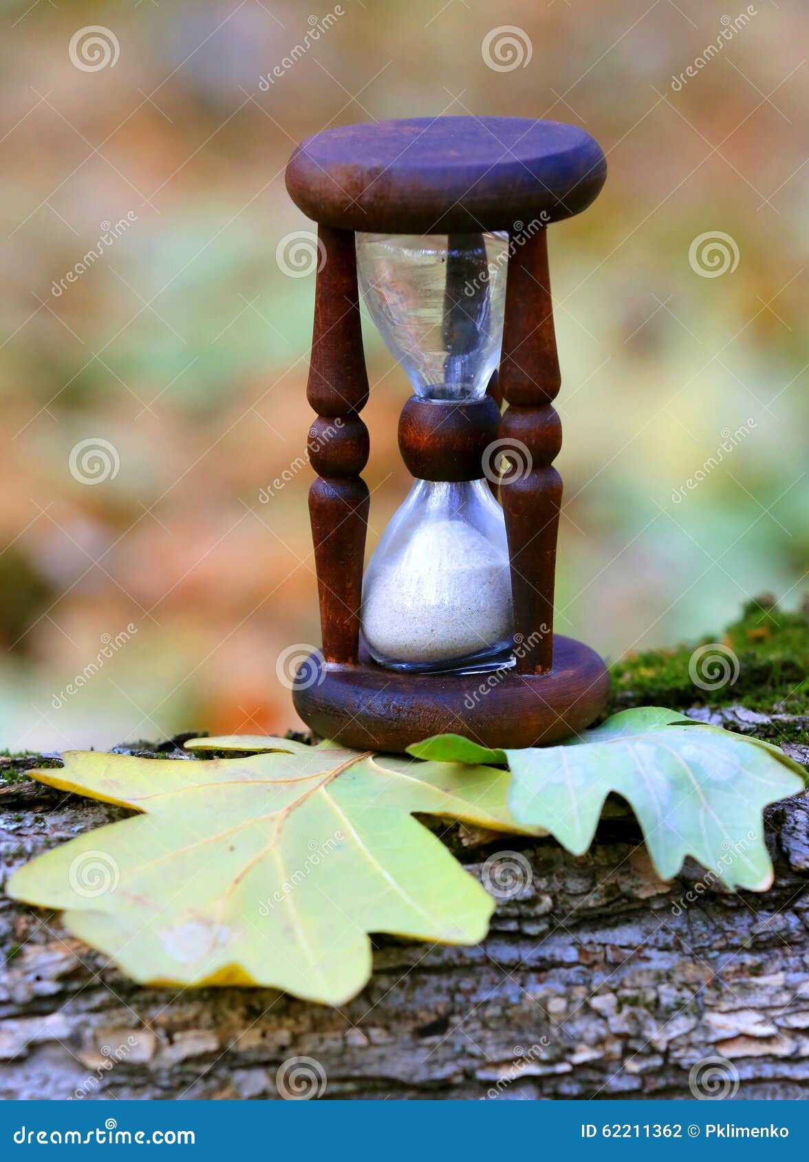 Abstract Hourglass on Oak Leafs Stock Photo - Image of outdoor, clock ...