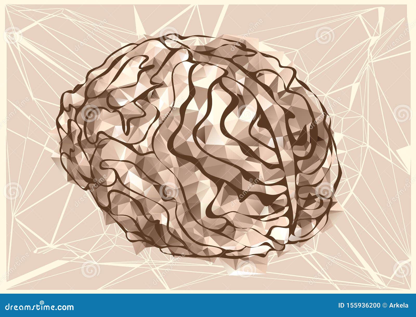 Abstract human brain stock vector. Illustration of abstract - 155936200