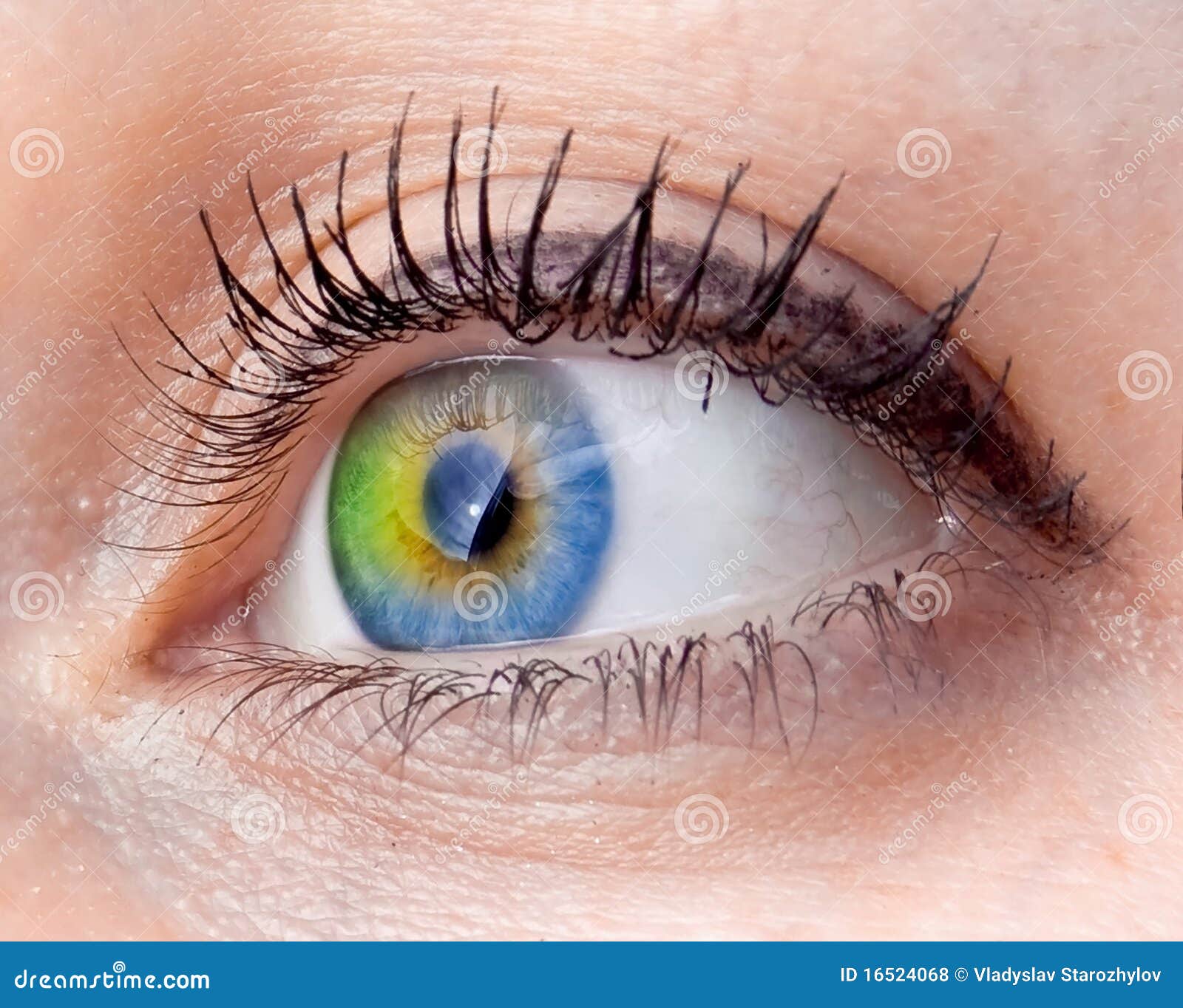 Abstract human eye stock illustration. Illustration of green - 16524068