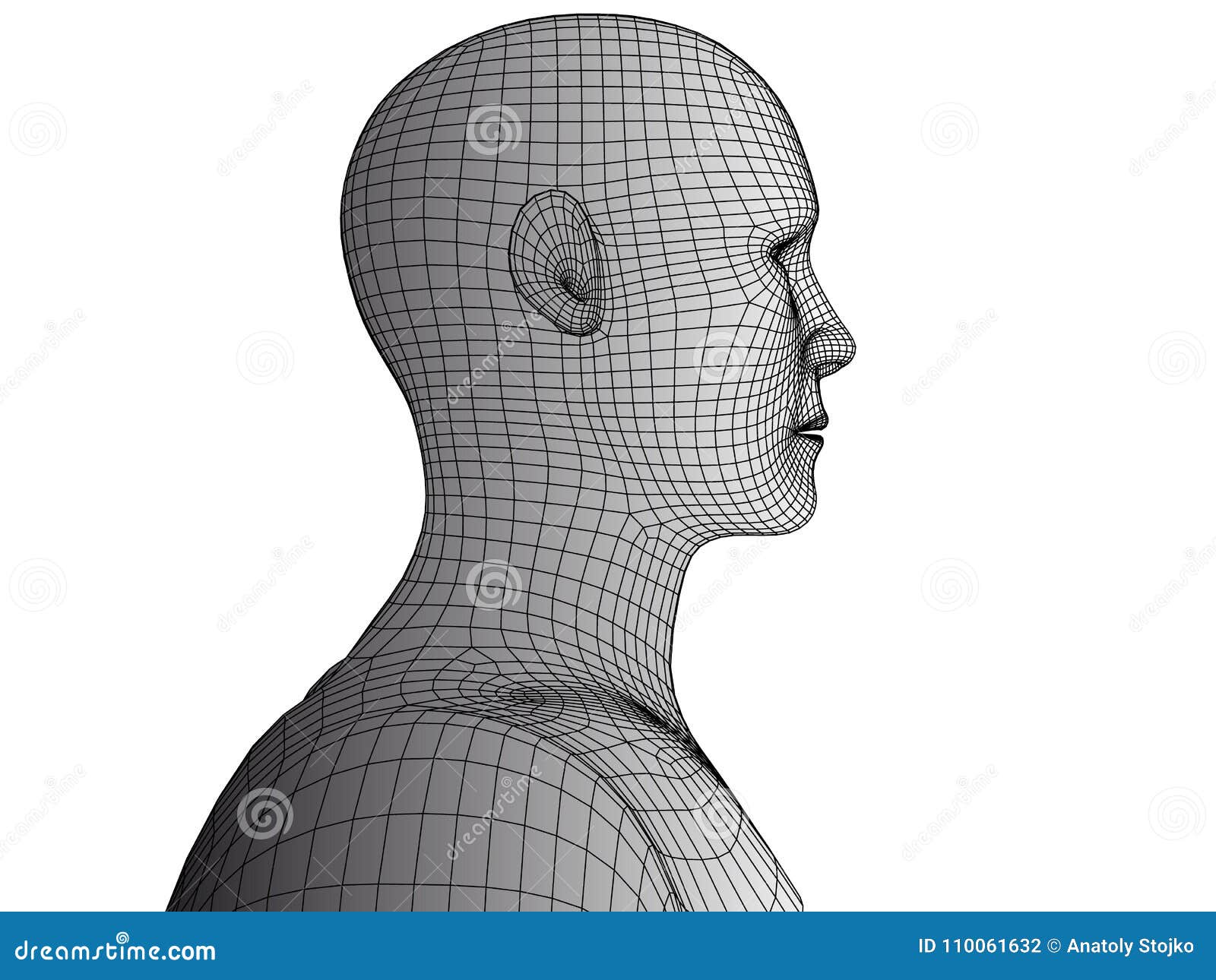 Abstract Human Head 3d Wireframe Vector. Stock Vector - Illustration of ...