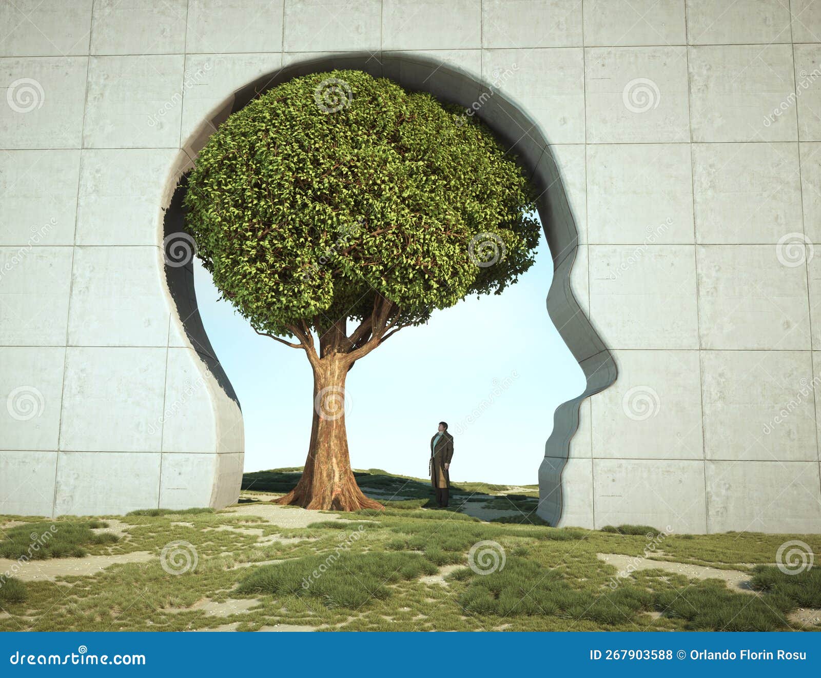Abstract Human Head with a Tree As a Brain. Self Development and Growth ...