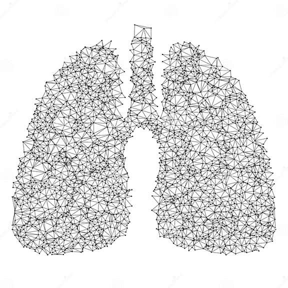 Abstract Human Lung from Dots and Lines. Technology Background. Human ...