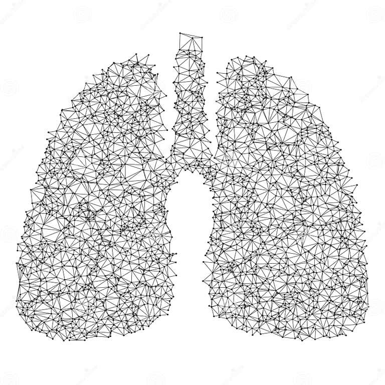 Abstract Human Lung from Dots and Lines. Technology Background. Human ...
