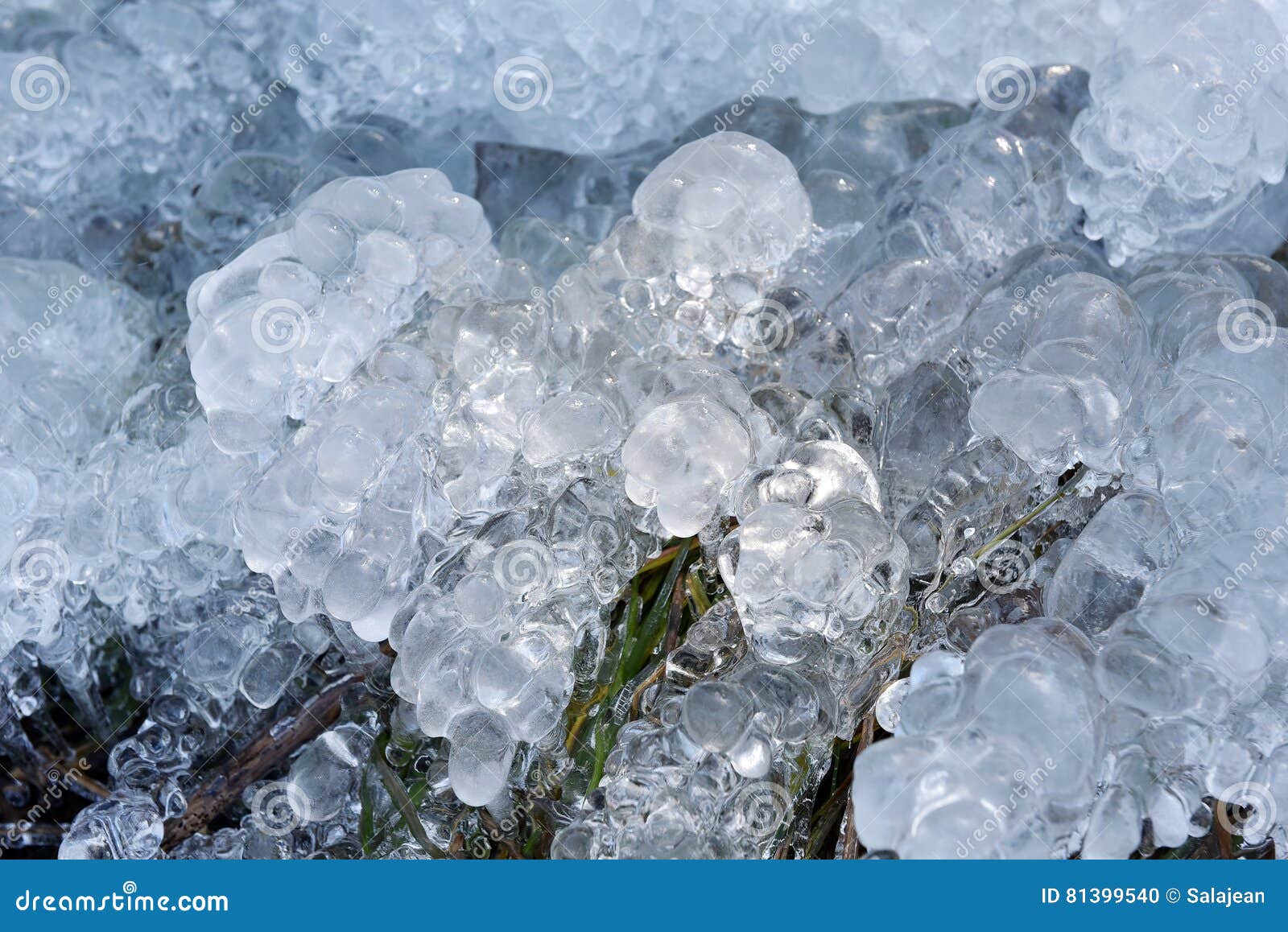 Abstract Ice Crystals on Frozen Plants Stock Photo - Image of natural ...