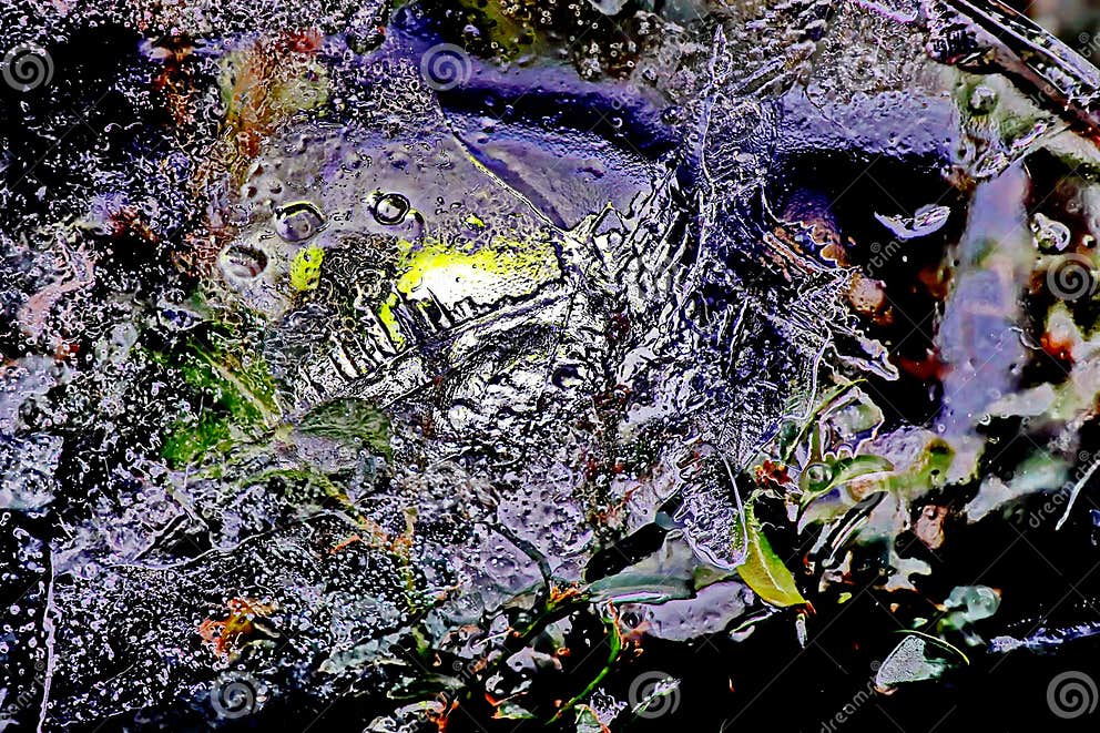 Abstract Ice Pattern and Drawing Appearing on the Surface of the Water ...