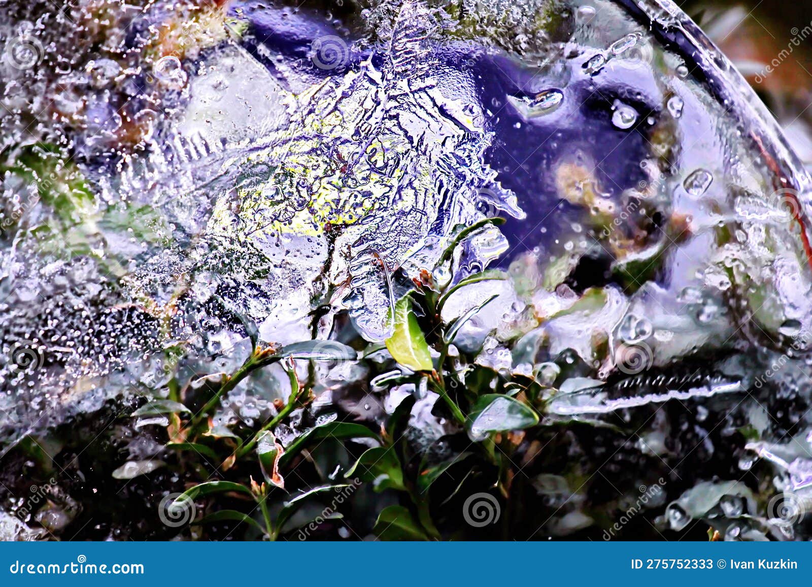 Abstract Ice Pattern and Drawing Appearing on the Surface of the Water ...