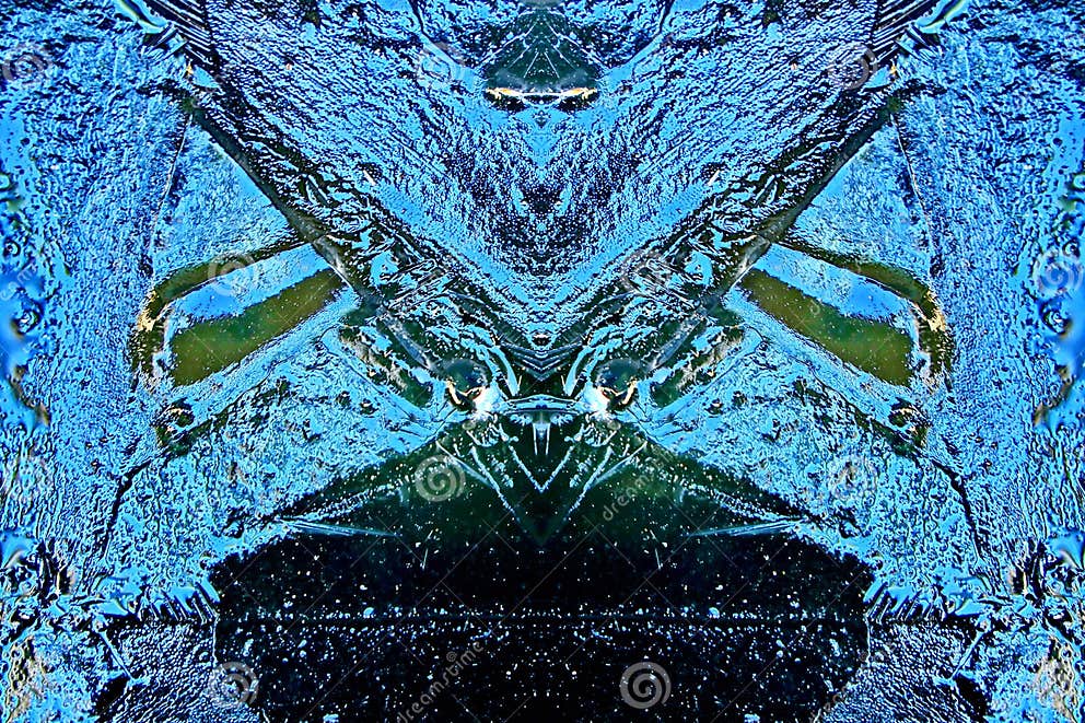 Abstract Ice Pattern and Drawing Appearing on the Surface of the Water ...
