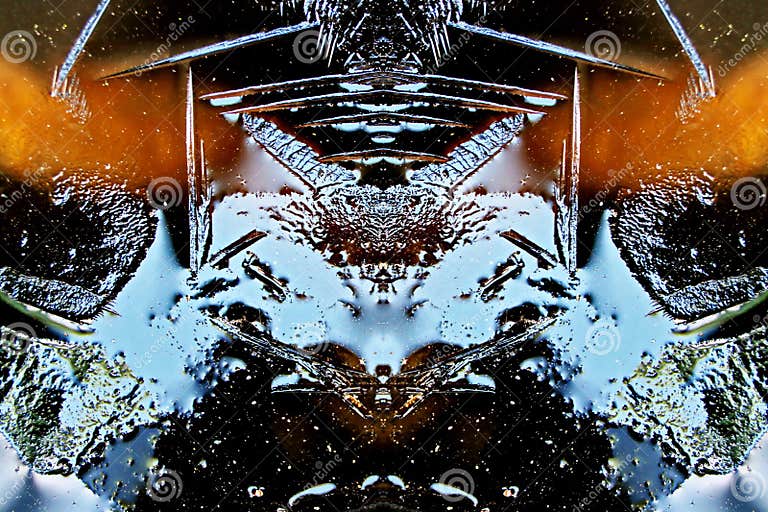 Abstract Ice Pattern and Drawing Appearing on the Surface of the Water ...