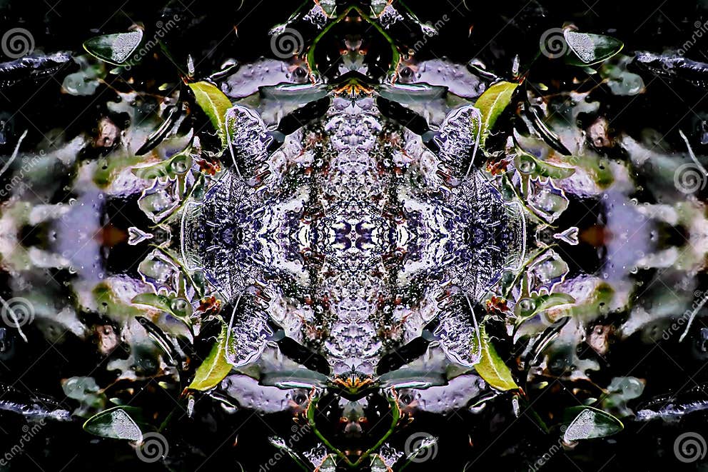 Abstract Ice Pattern and Drawing Appearing on the Surface of the Water ...