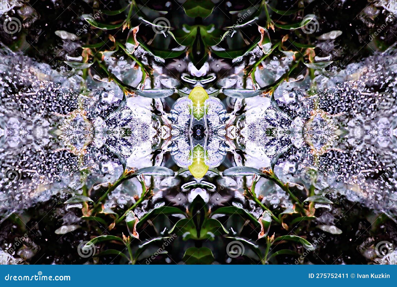 Abstract Ice Pattern and Drawing Appearing on the Surface of the Water ...