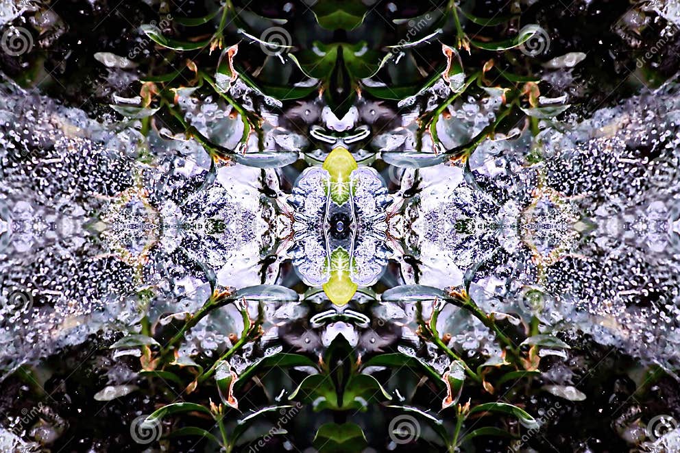 Abstract Ice Pattern and Drawing Appearing on the Surface of the Water ...