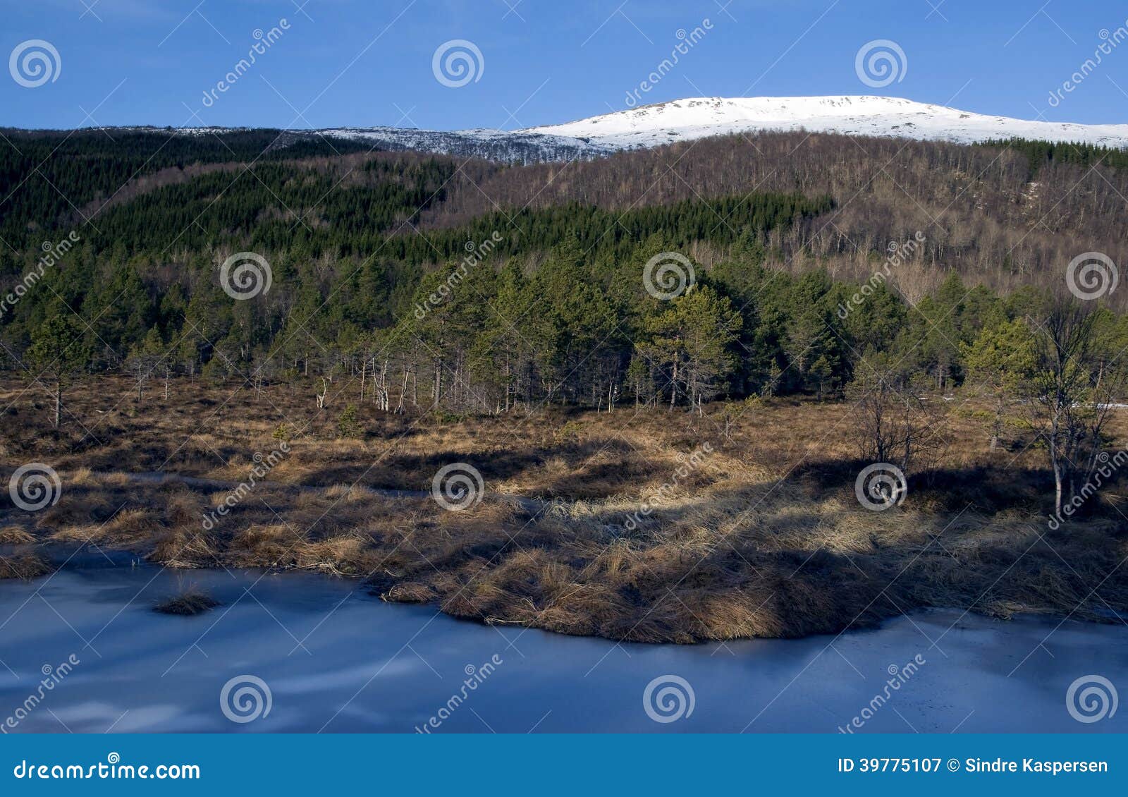Abstract ice and sky stock image. Image of nature, deciduous - 39775107
