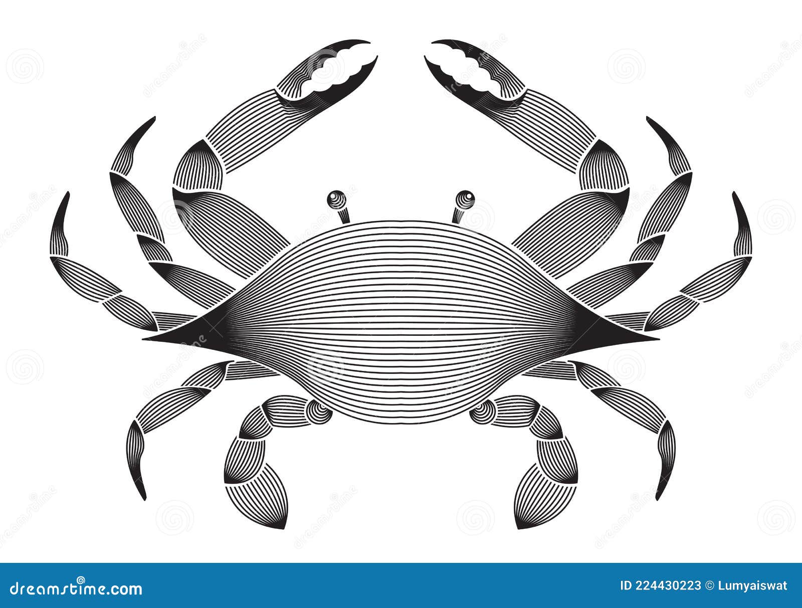 Abstract Illustration Geometric Linear of Crab Stock Vector ...