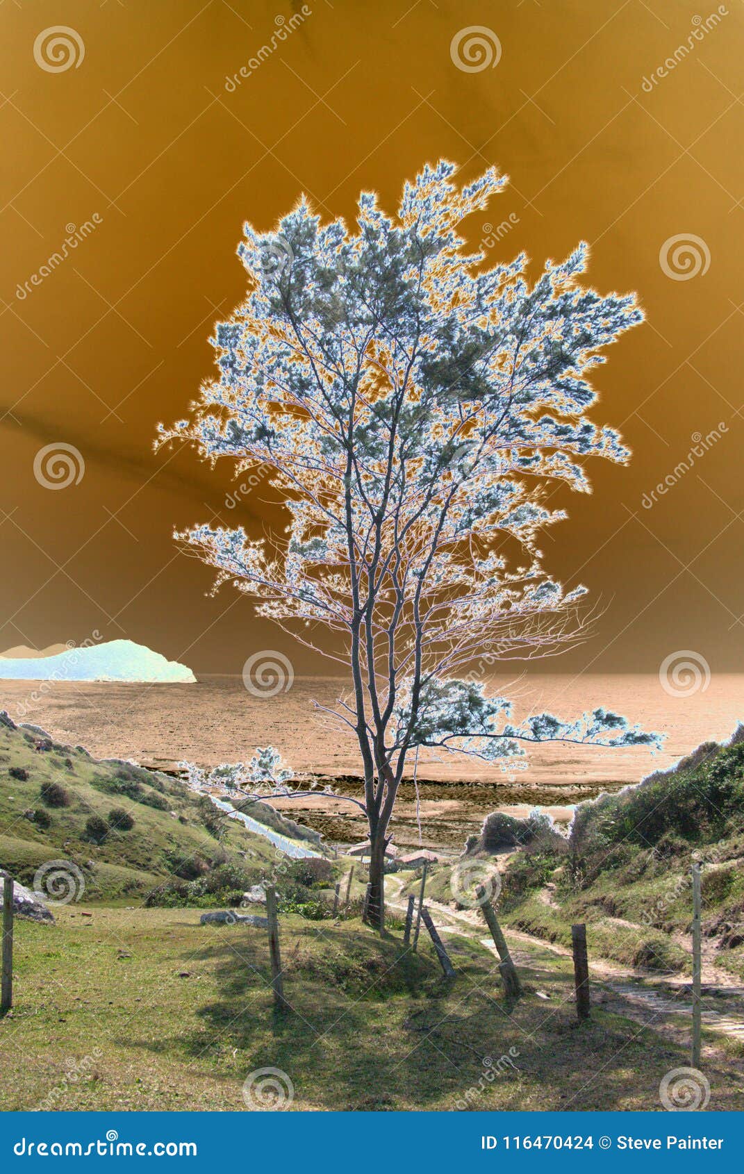 Windswept Tree Stock Illustrations – 14 Windswept Tree Stock ...