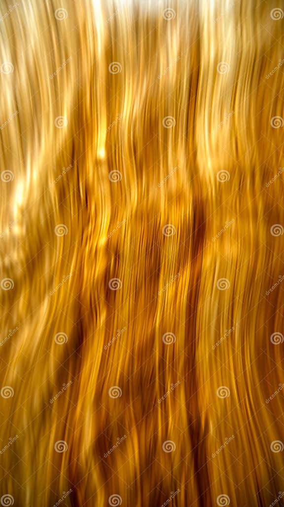 Abstract Image of a Golden Brown Surface Stock Image - Image of gold ...