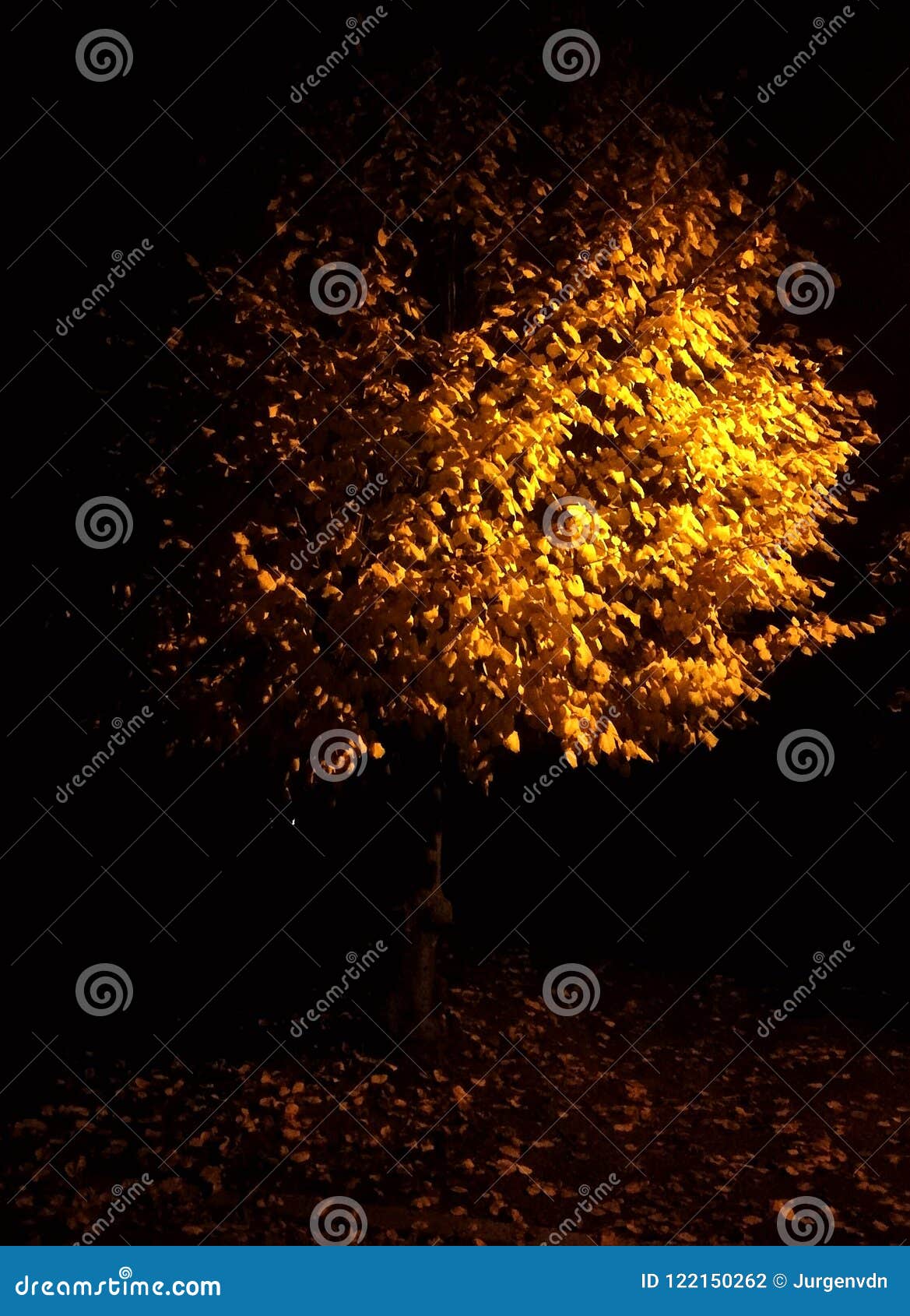 Abstract Image of a Golden Brown Tree Stock Photo - Image of ...