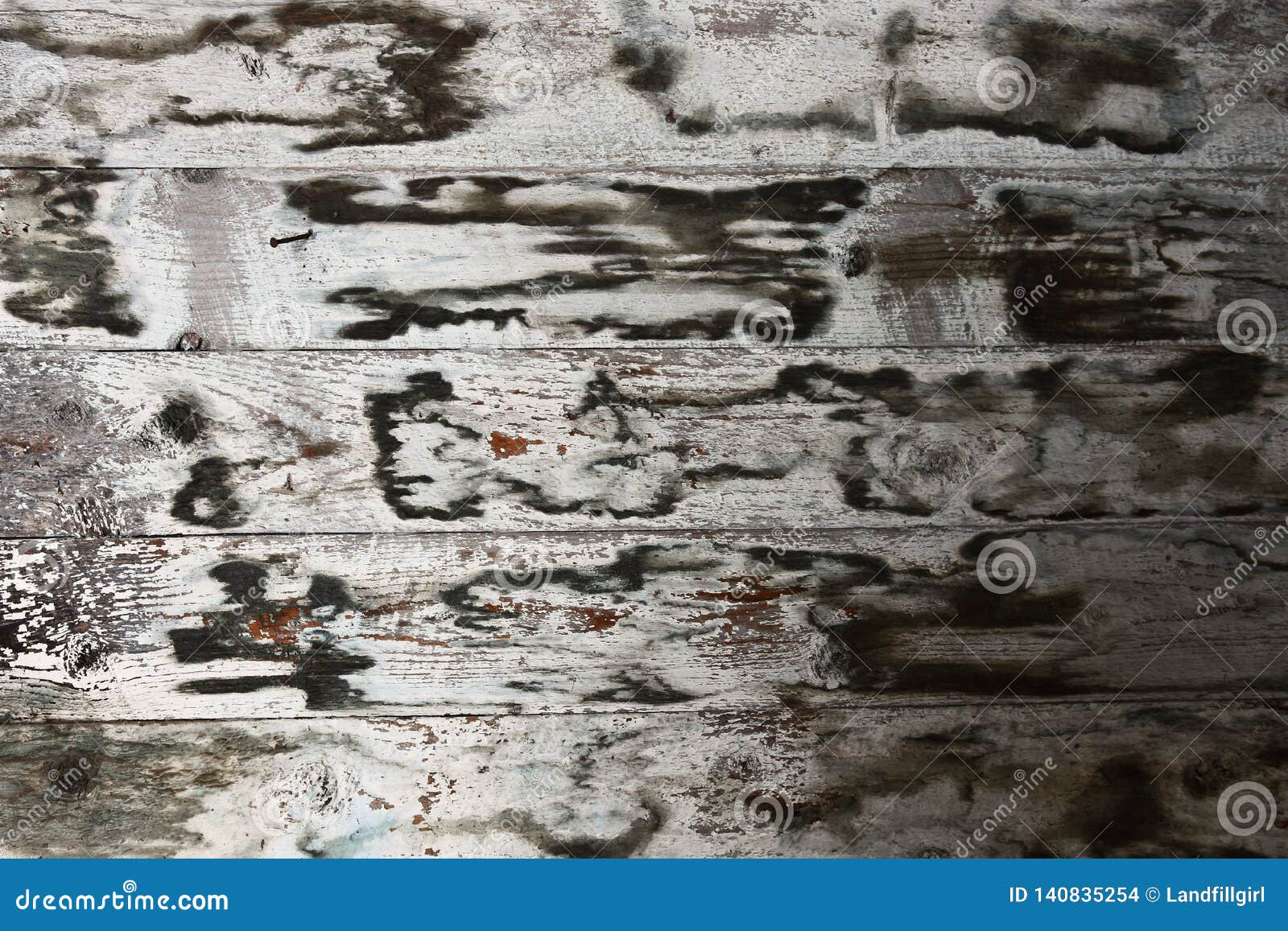 Old Weathered and Rotten Wood Texture Stock Photo - Image of rustic ...