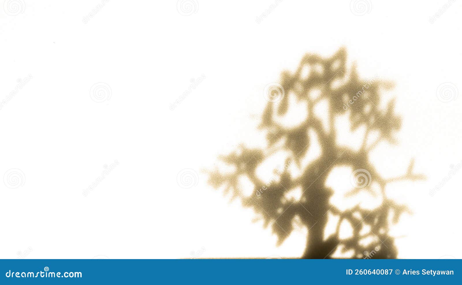 Abstract Image of Small Christmas Tree Shadow on White Concrete Wall ...