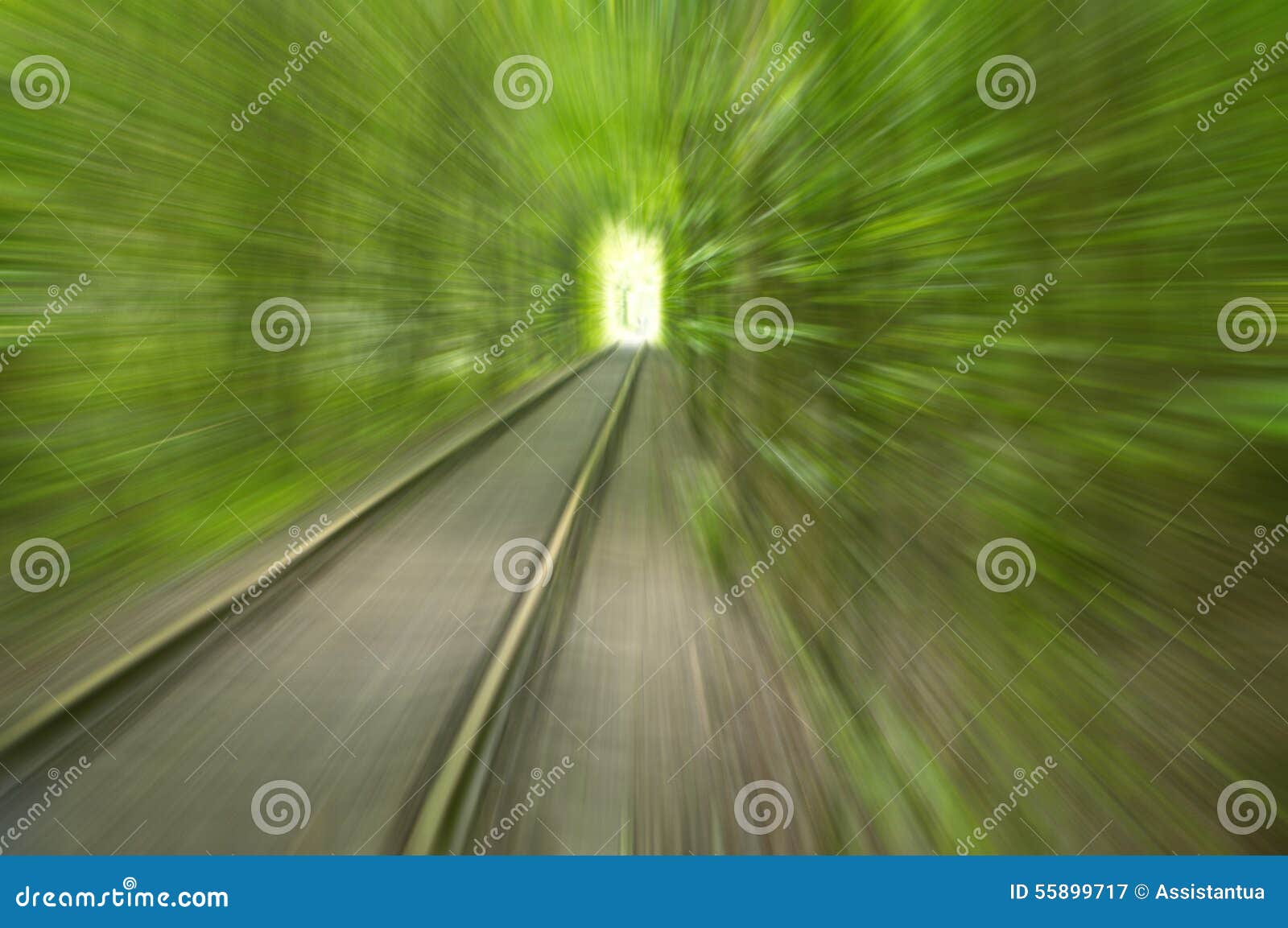 Abstract Image of Speed Motion by Rail among Trees To the Light Stock ...