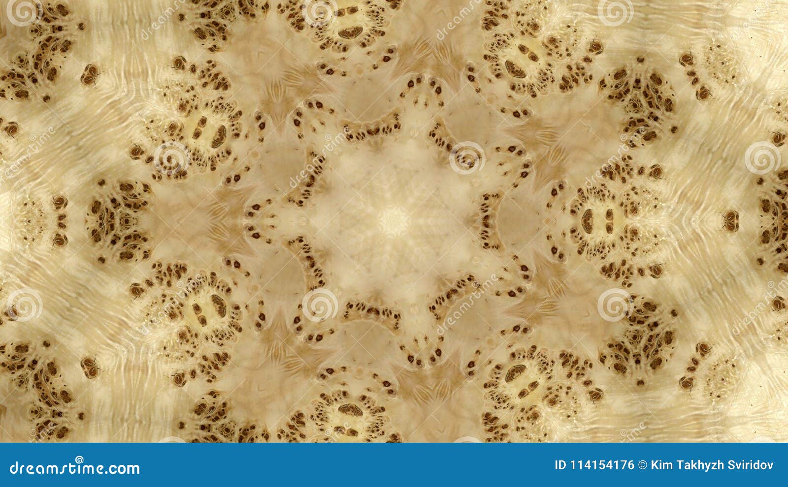 Tree Root Texture Stock Illustrations – 1,765 Tree Root Texture Stock ...