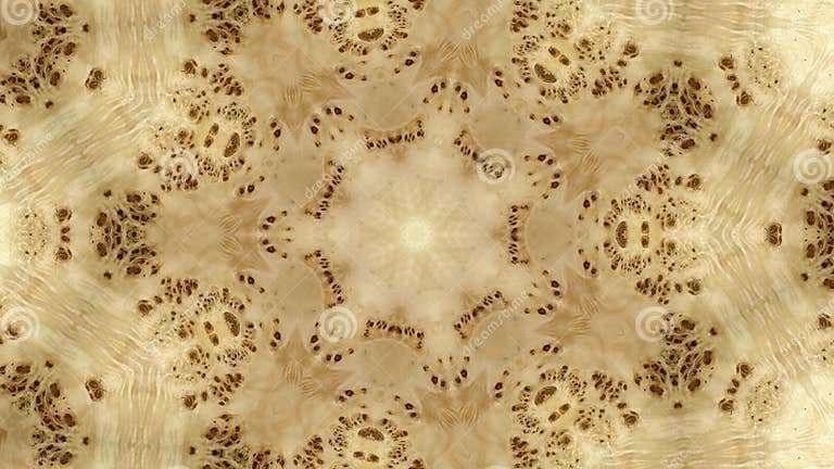 Abstract Image of a Wooden Texture of a Poplar Root Tree Stock ...