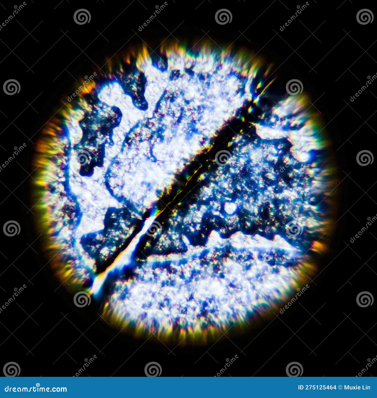 Abstract Images of Vegetable Cells Under a Microscope Stock Photo ...