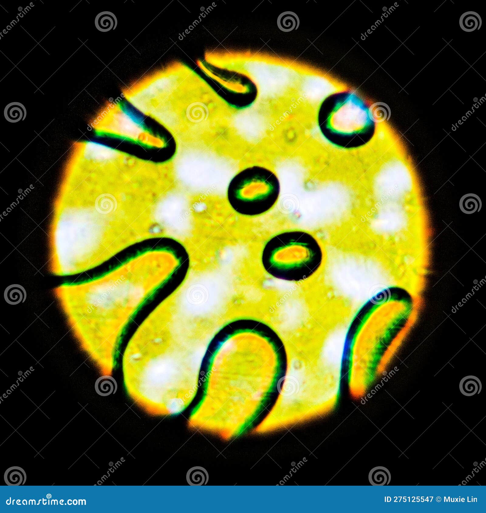 Abstract Images of Vegetable Cells Under a Microscope Stock Image ...